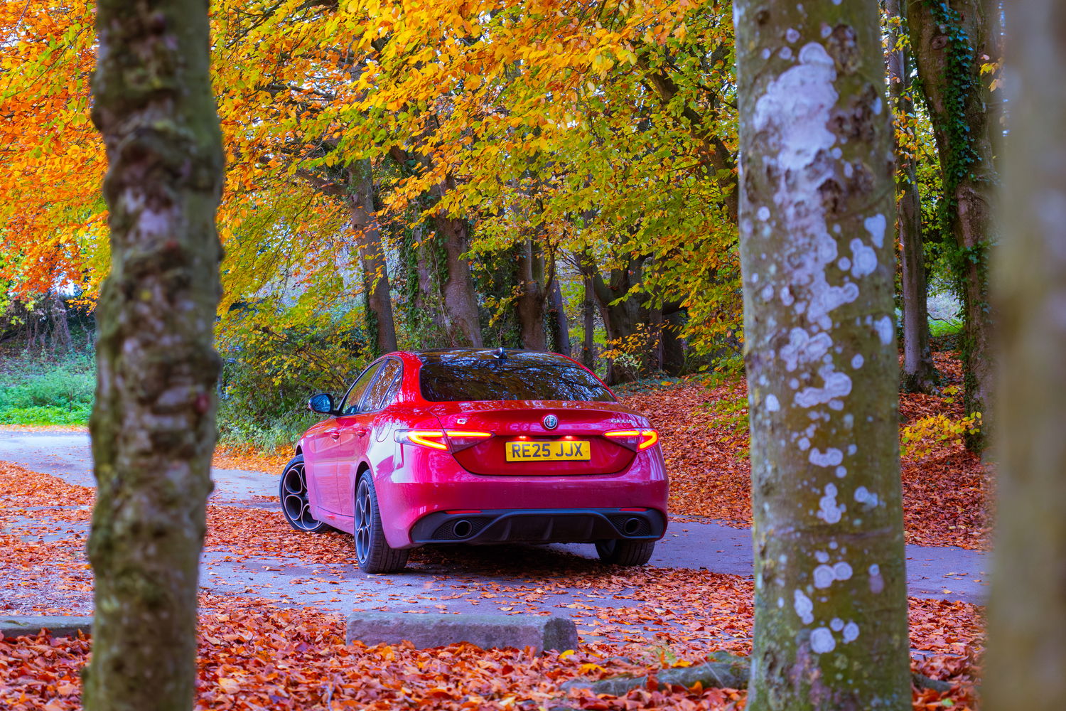 2025 Alfa Romeo Giulia Intensa Review: A Penny Too Pretty | CarThrottle